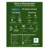 What is Dyscalculia Poster - 16 x 20 inches - Tutoring Centers and ...
