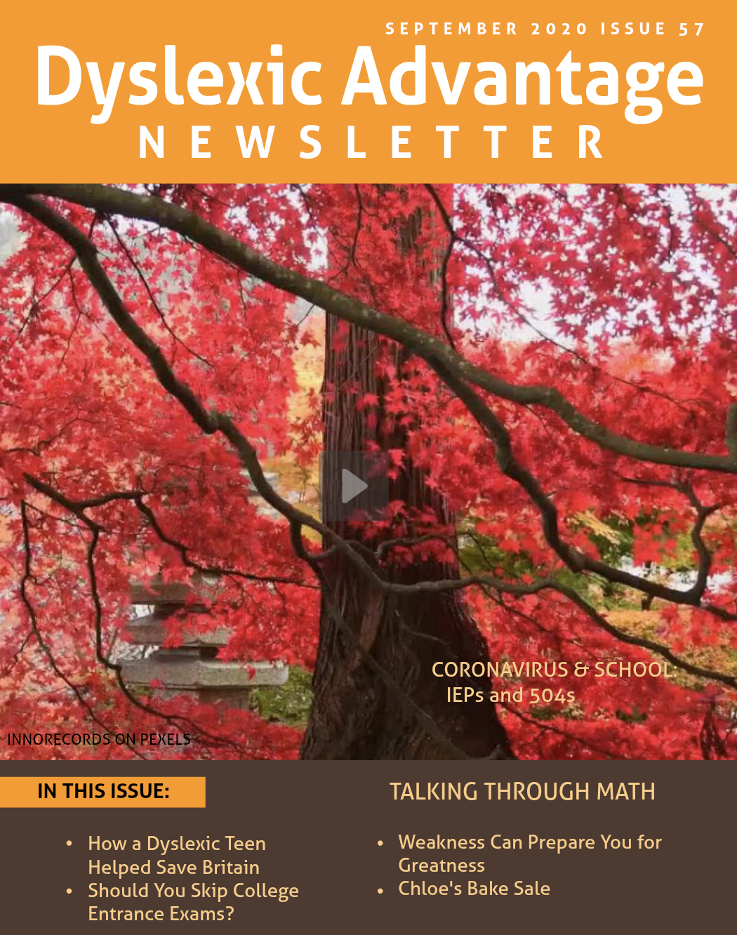 Newsletter Archives - Dyslexia | Dyslexic Advantage