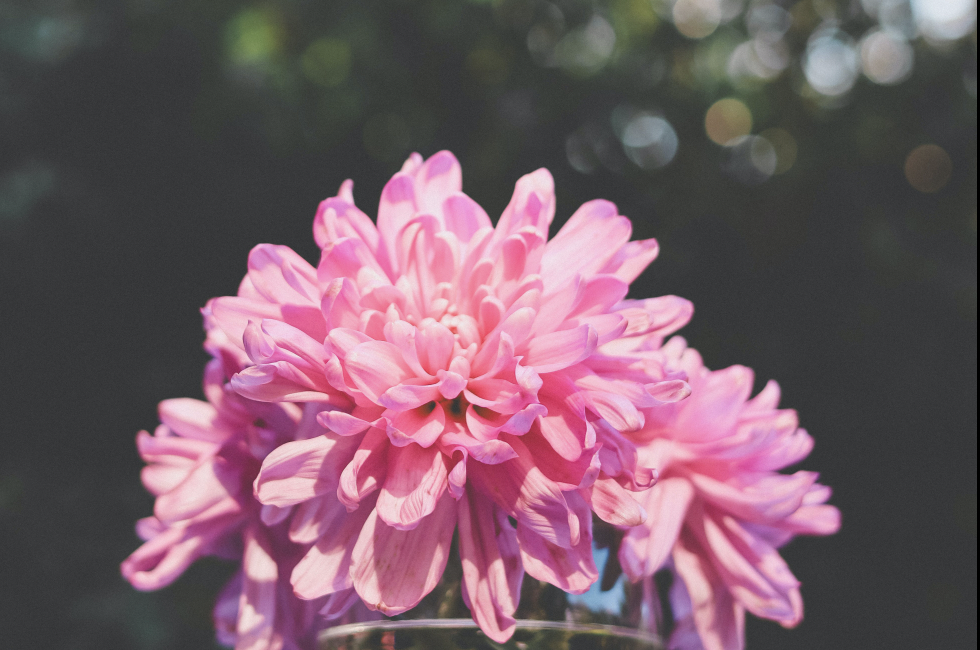 Stealth Dyslexia - Dyslexia | Dyslexic Advantage