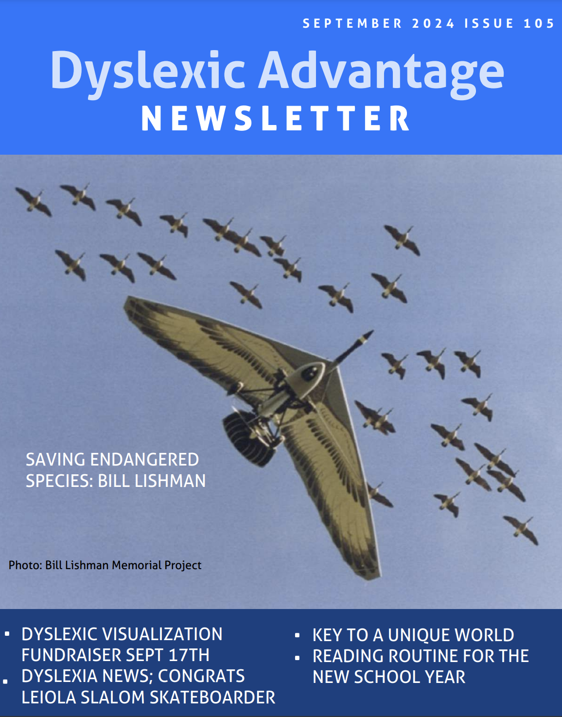 Newsletter Archives - Dyslexia | Dyslexic Advantage