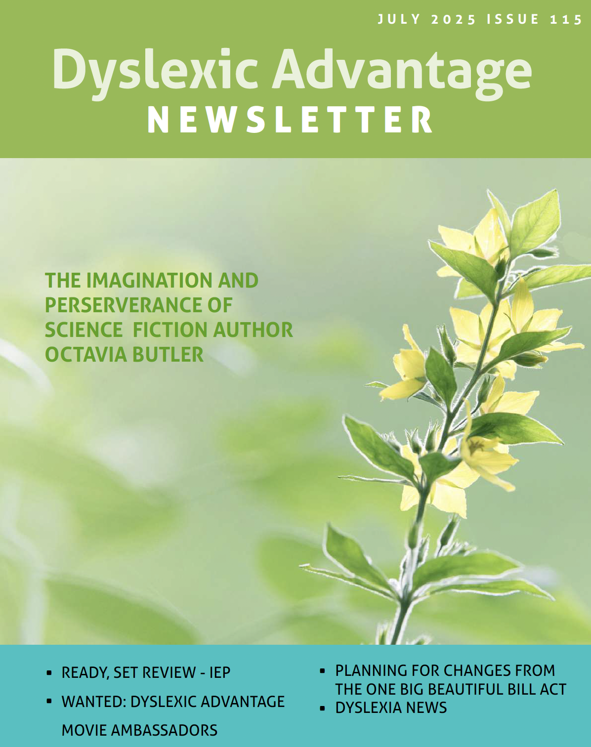 JULY 2025 Newsletter - Dyslexia | Dyslexic Advantage